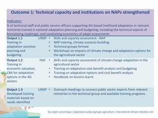 The NAP Agriculture Programme | PPT