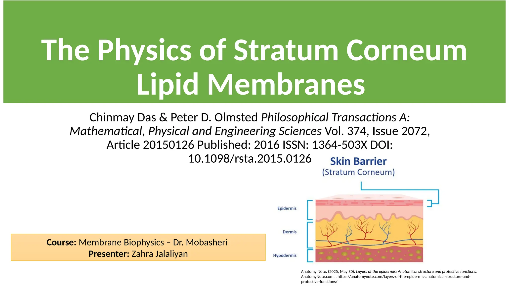 The Physics of Stratum Corneum Lipid Membranes | PPTX