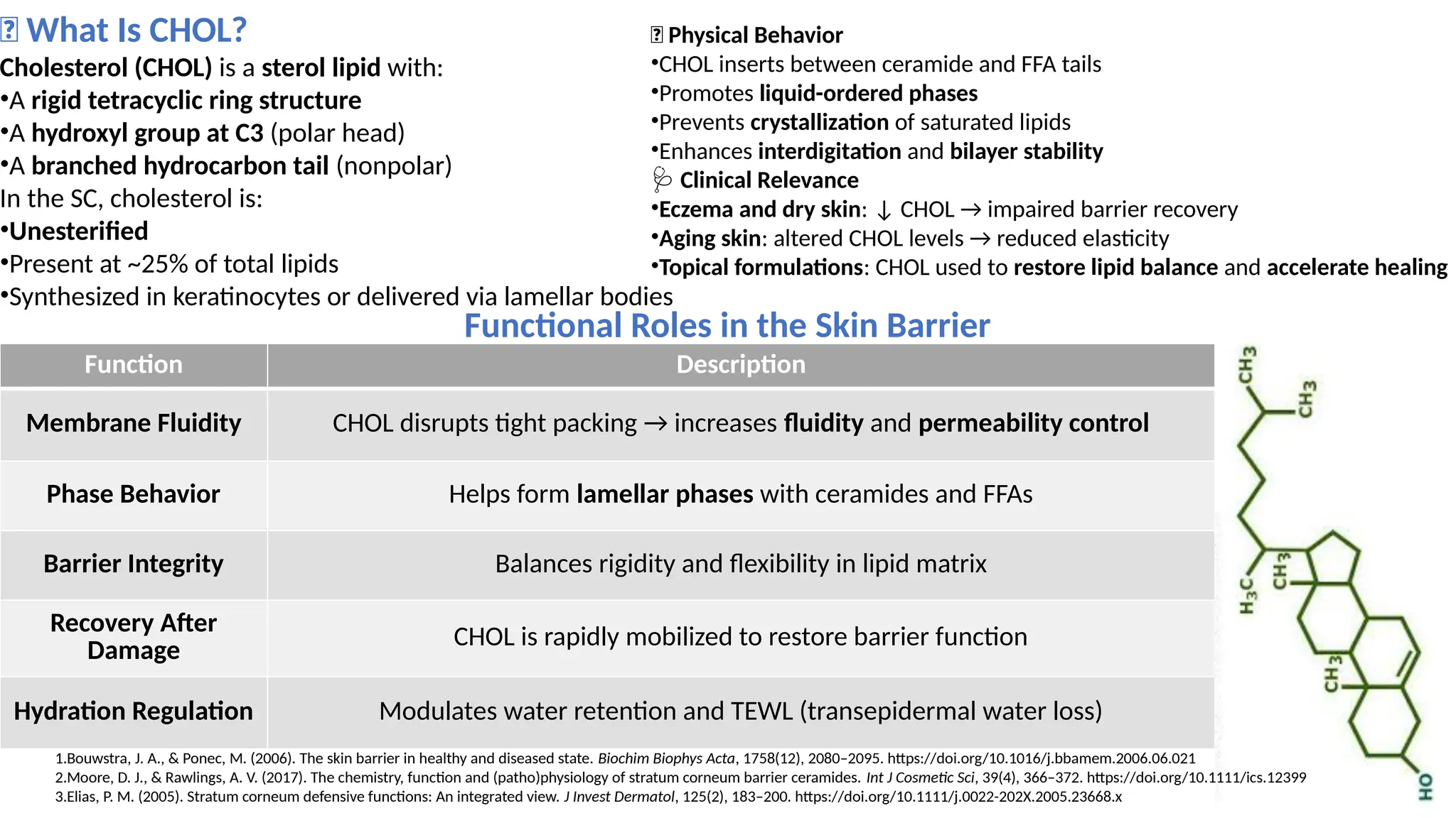 The Physics of Stratum Corneum Lipid Membranes | PPTX