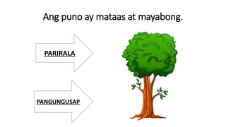 (5) New Pangungusap at parirala.pptx