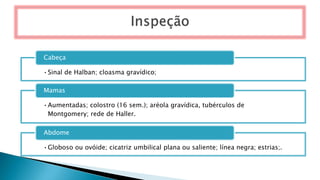 Aula 4 -_consulta_de_enfermagem_na_assistencia_pre-natal | PPTX