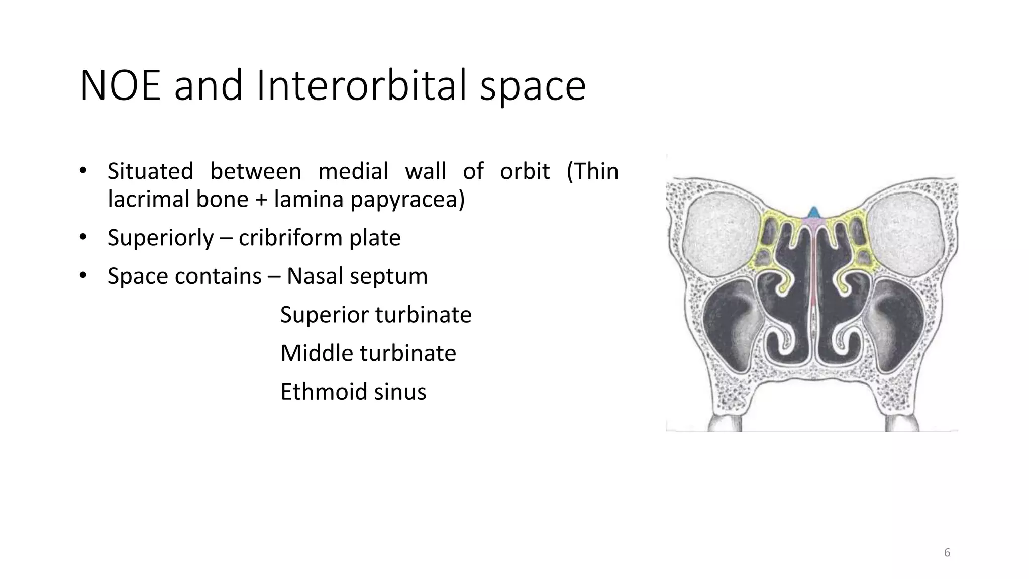 5 NOE FRACTURE seminar 5.pptx