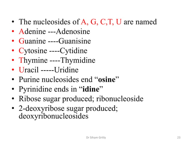 5 nucleotides and nucleic acids lecture | PPTX
