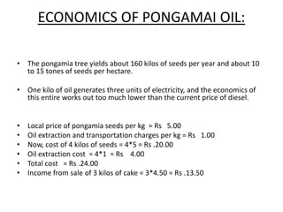 Presentation on pongamia by akhil.g | PPTX
