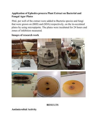 antibacterial and antifungal activity of ephedra procera | DOCX