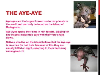 5 of the strangest animals | PPTX | Geography | Science