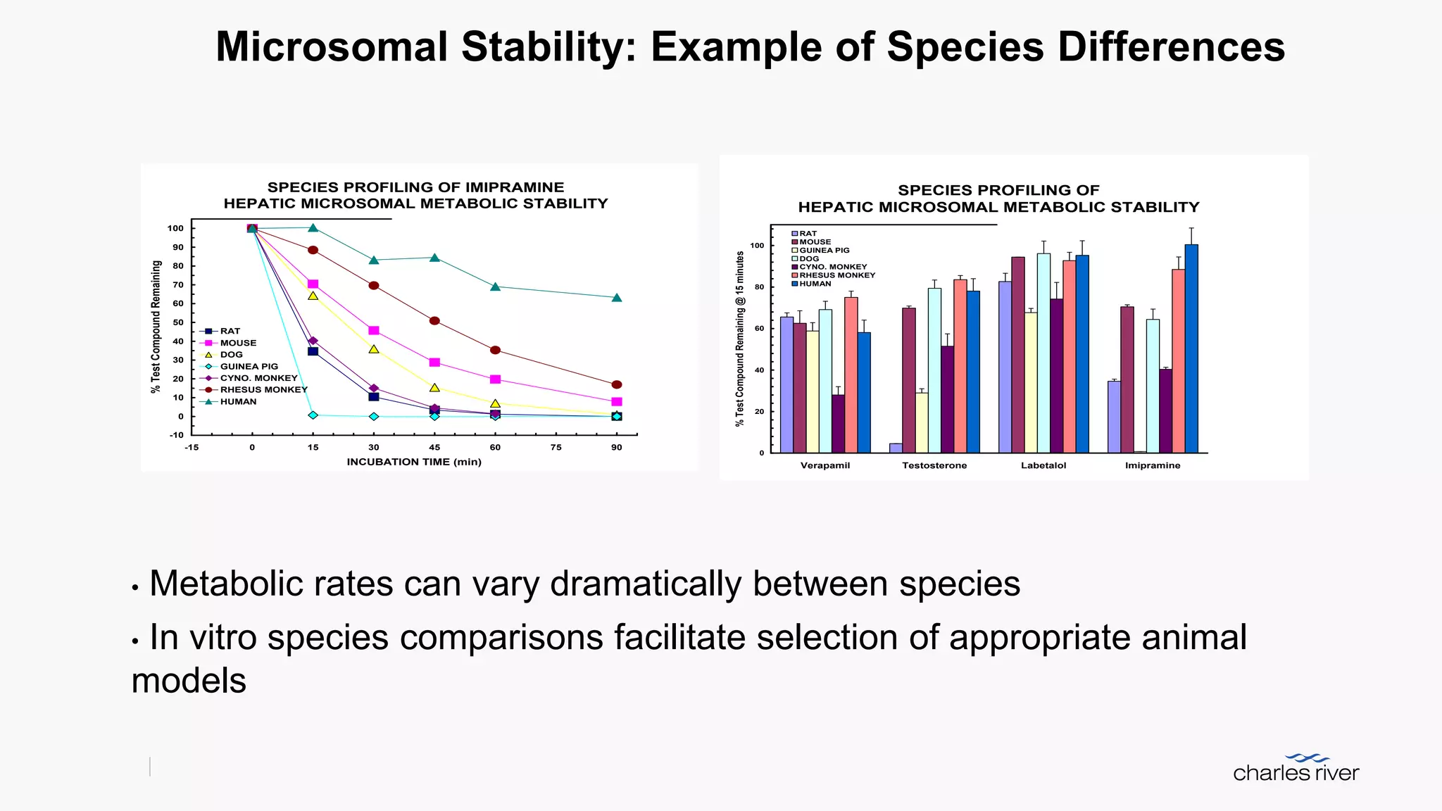 In Vitro ADMET Considerations for Drug Discovery and Lead Generation | PDF