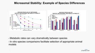 In Vitro ADMET Considerations for Drug Discovery and Lead Generation | PDF
