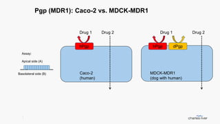 In Vitro ADMET Considerations for Drug Discovery and Lead Generation | PDF