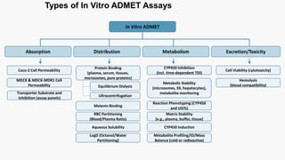 In Vitro ADMET Considerations for Drug Discovery and Lead Generation | PDF