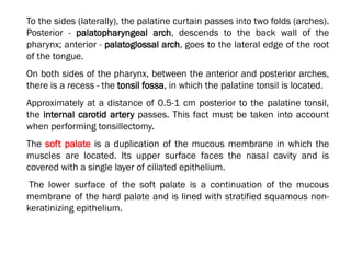 5_Oral cavity_Digestive tract of anatomy | PDF