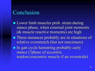 John Orchard - hamstrings injuries | PDF | Physical Therapy | Wellness