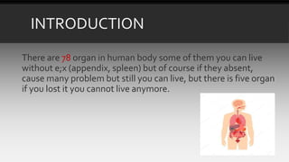 5 organ you can’t live without | PPTX | Heart and Cardiovascular ...