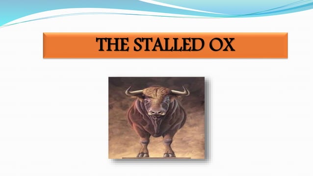 stalled ox | PPT