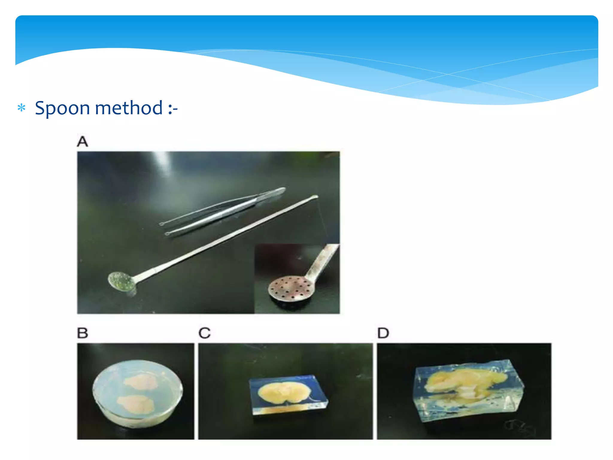 Seed sampling and testing | PPTX
