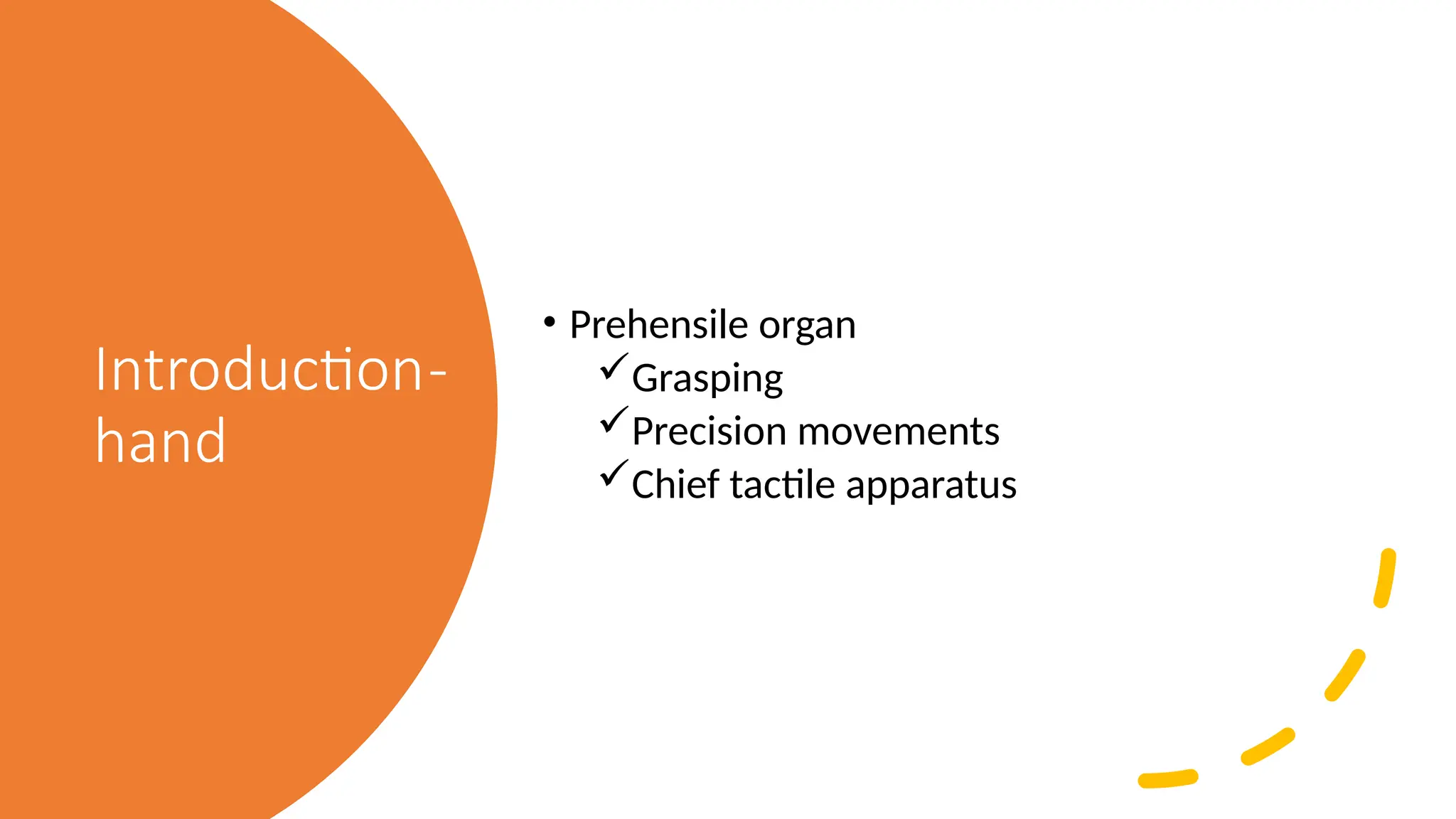 Palm of hand-MUSCLES,BLOOD SUPPLY AND NERVE SUPPLY | PPTX