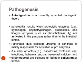 5 pancreas | PPT