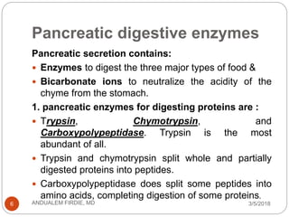 5 pancreas | PPT