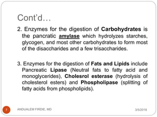 5 pancreas | PPTX