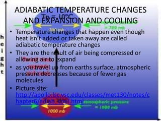 5 pbean | PPT | Free Download