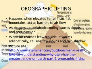 5 pbean | PPT | Free Download