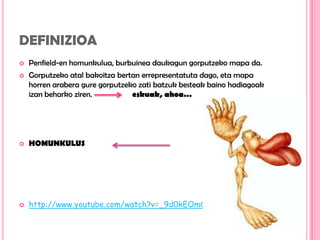 5 penfield en homunkulua eider | PPT