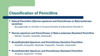 5 Penicillins and Cephalosporines[1].pptx