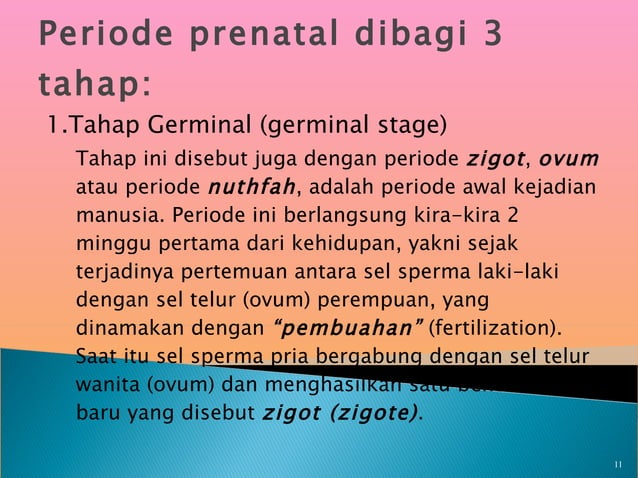 5 periode prenatal | PPT