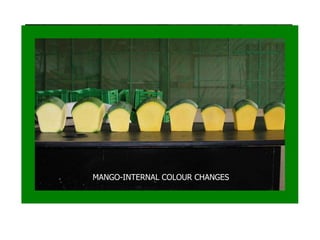 5 perkembangan | PPTX