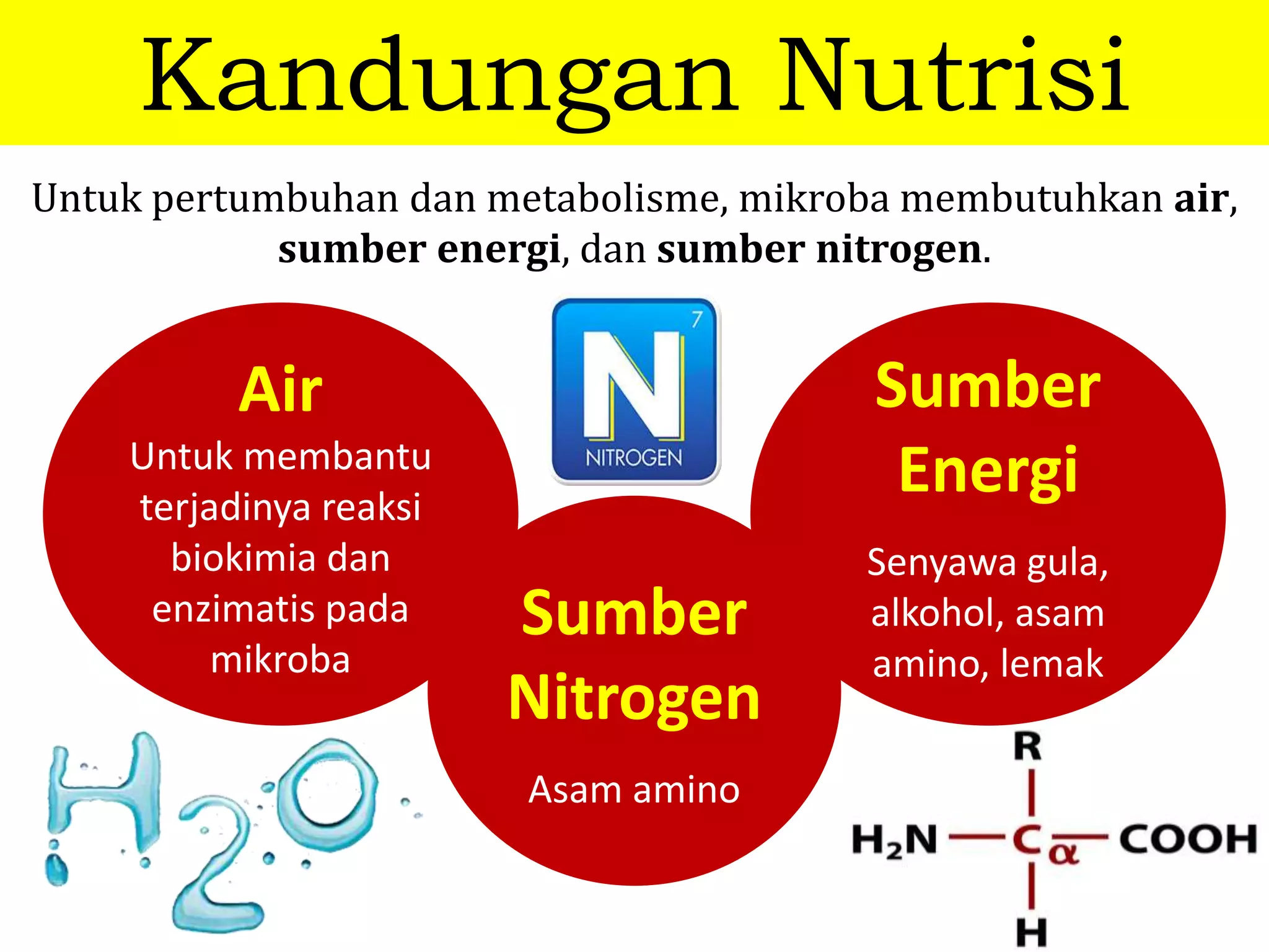 5 pertumbuhan dan perkembangan mikroba (1) | PPTX