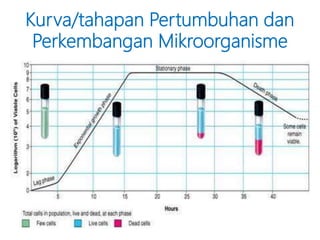 5 pertumbuhan dan perkembangan mikroba (1) | PPTX