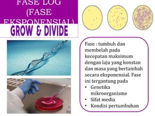 5 pertumbuhan dan perkembangan mikroba (1) | PPTX