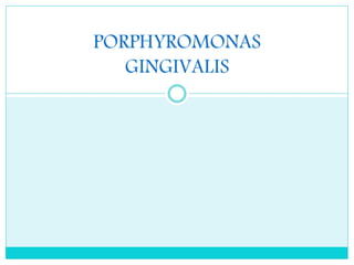 p.gingivalis | PPTX