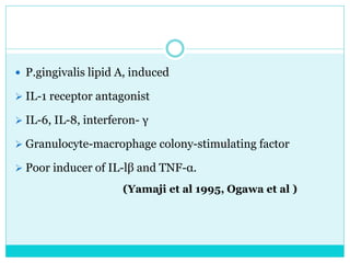 p.gingivalis | PPTX