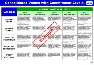 5 Phase Organizational Culture Transformation Program | PDF