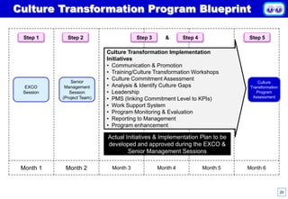 5 Phase Organizational Culture Transformation Program | PDF