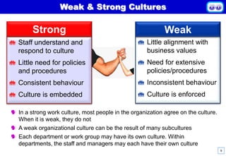 5 Phase Organizational Culture Transformation Program | PDF