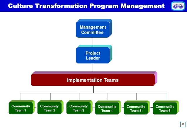 5 Phase Organizational Culture Transformation Program