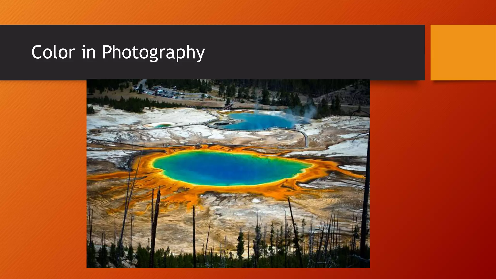 5 Pillar 4 PPT color contrast.pptx