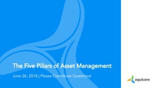 The Five Pillars of Asset Management | PDF