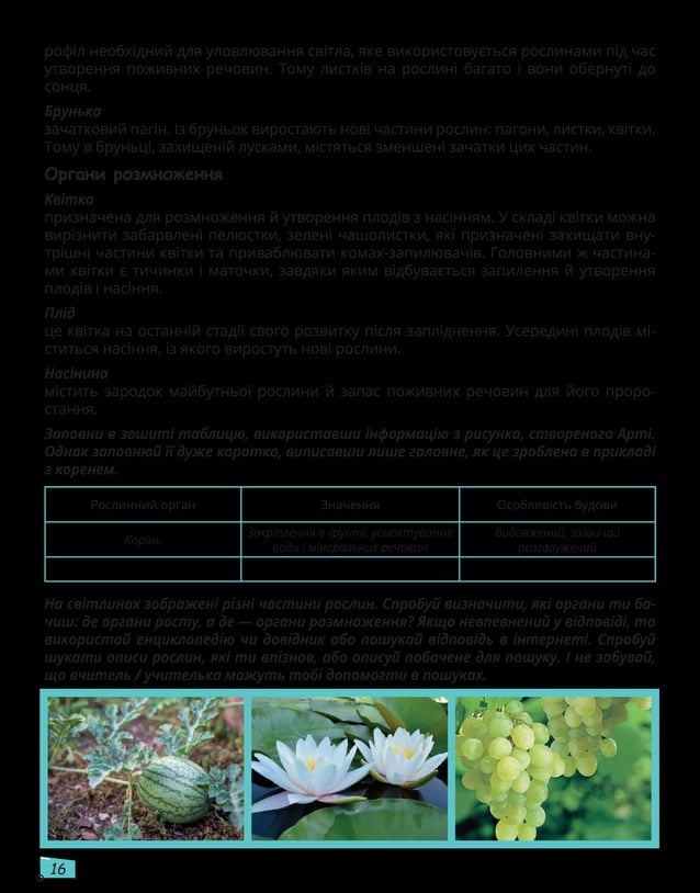 5_piznaemo_prirodu_shalamov.pdf