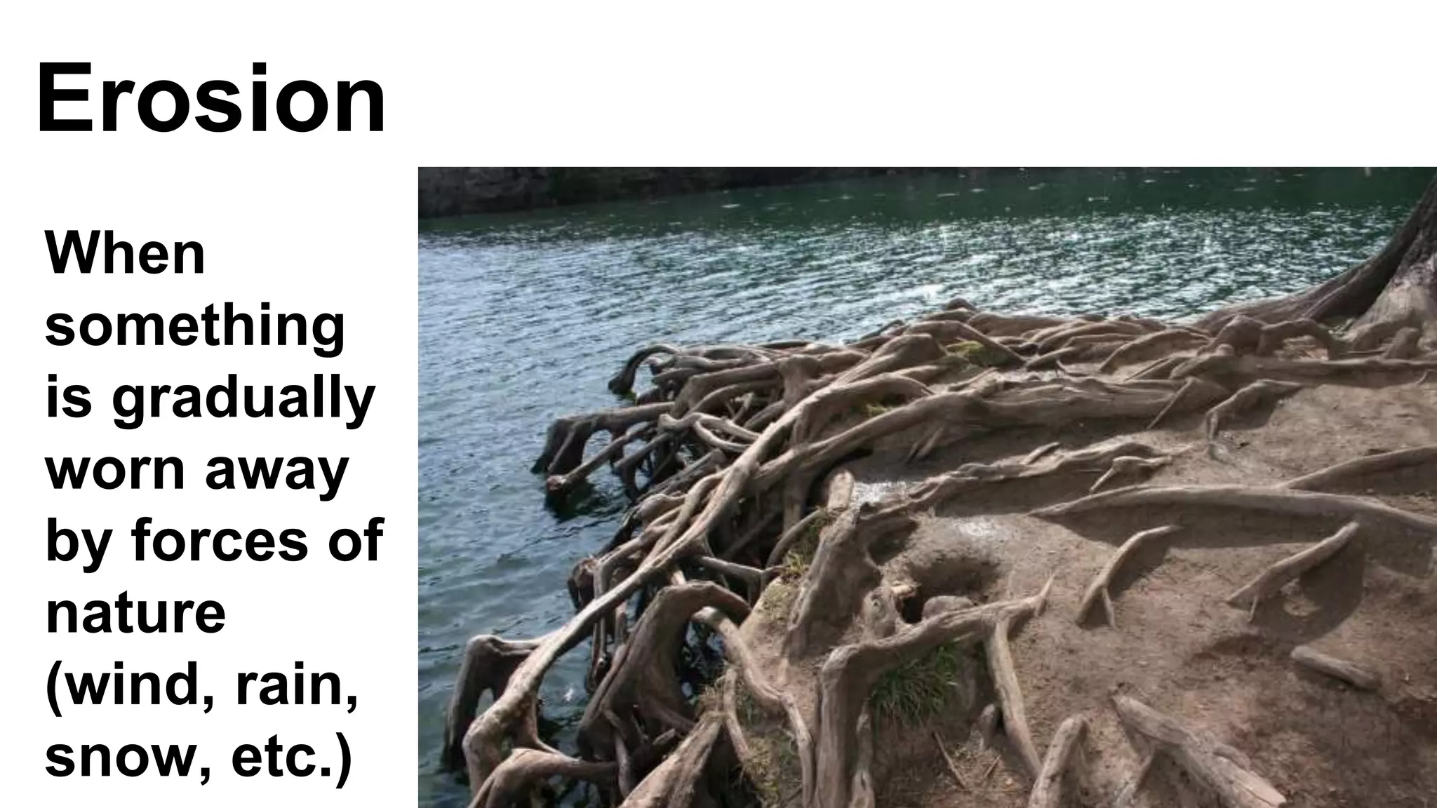 Things that harm the soil | PPTX