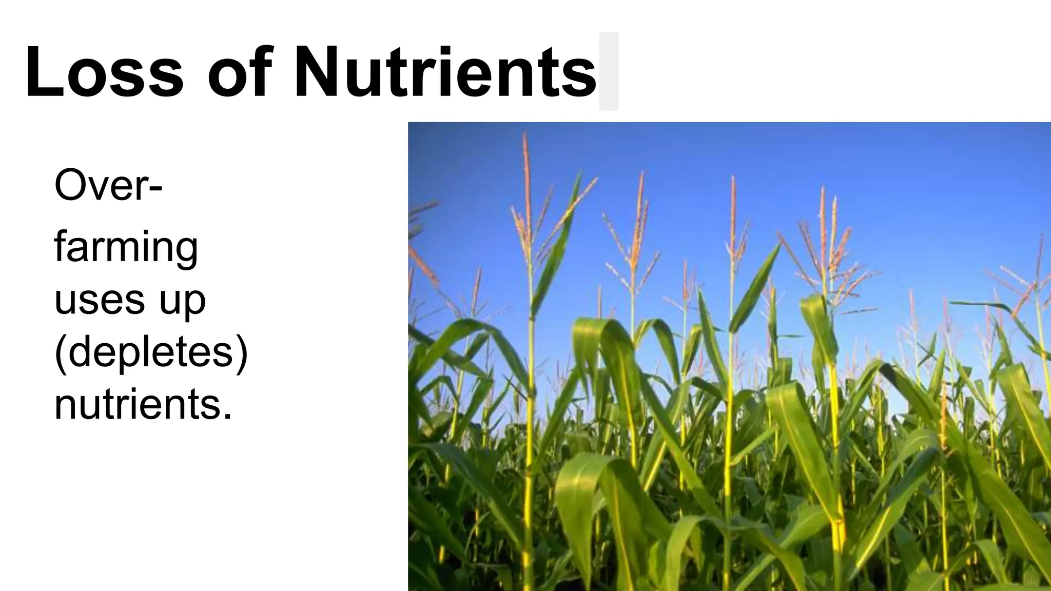 Things that harm the soil | PPTX