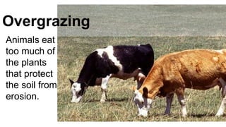 Things that harm the soil | PPT