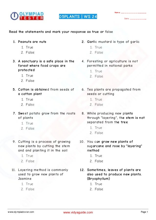 Olympiad Questions For Class 5 olympiad-questions-for-class-5