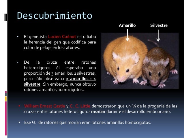 Pleiotropía y genes letales
