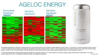 5 point vision (1) gene newcopy | PPT