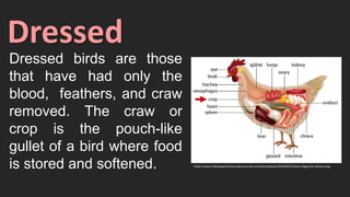 5 _ Poultry.pptx