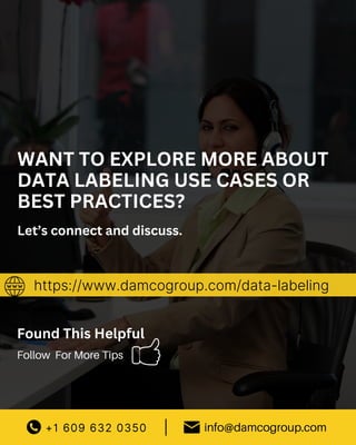 5 Practical Applications Showing How Data Labeling Drives AI Success | PDF