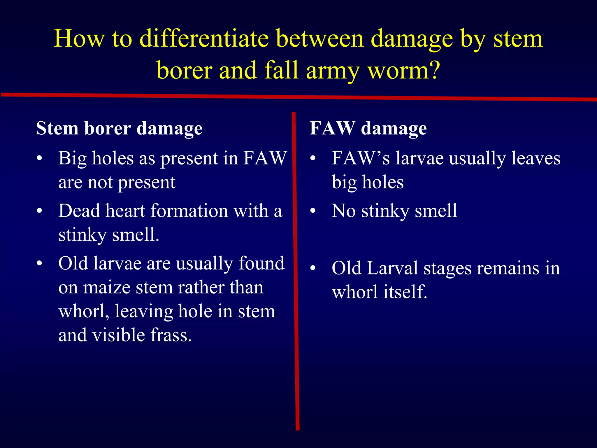Fall army worm (Spodoptera frugiperda) | PPT